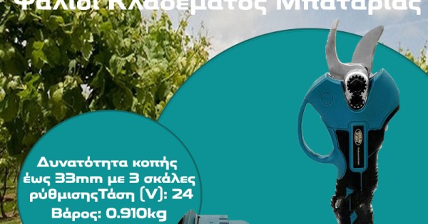 ΕΠΑΝΑΦΟΡΤΙΖΟΜΕΝΟ ΨΑΛΙΔΙ ΚΛΑΔΕΜΑΤΟΣ ΜΠΑΤΑΡΙΑΣ
